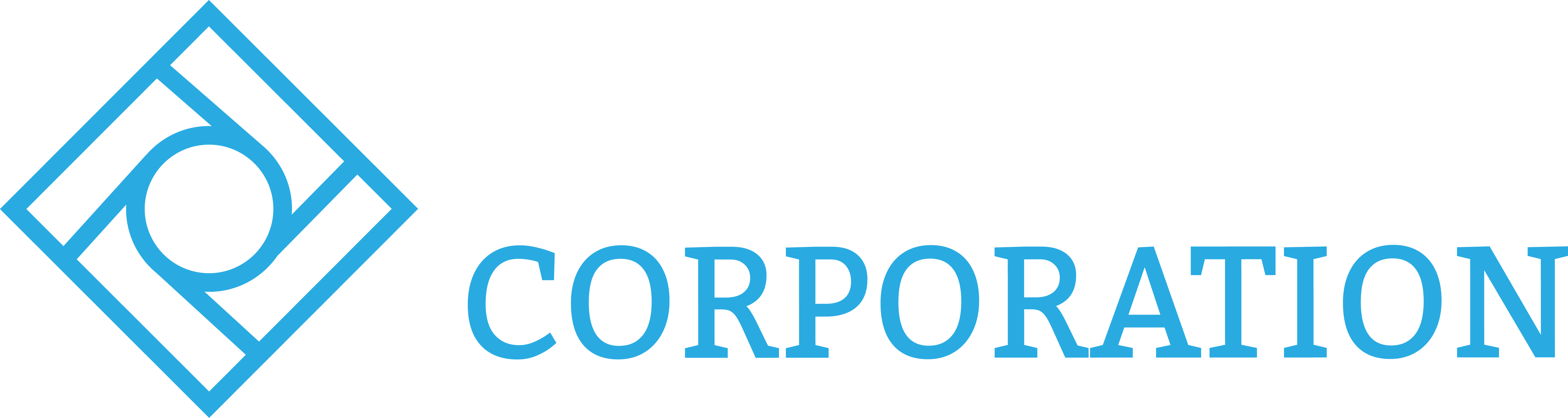 Robust API Corporation